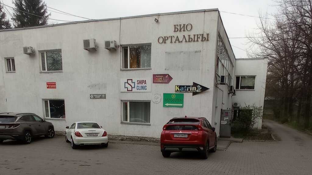 Dans okulları Katrin, Almatı, foto