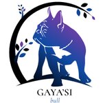 Gaya'Si Bull (Vzlyotnaya Street No:30, Adler), evcil hayvan yetiştiricileri  Soçi'den