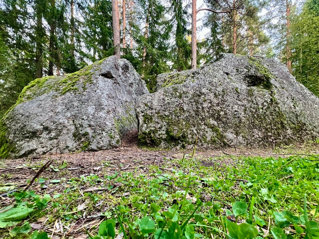 Doğa Валун, Saint‑Petersburg ve Leningradskaya oblastı, foto