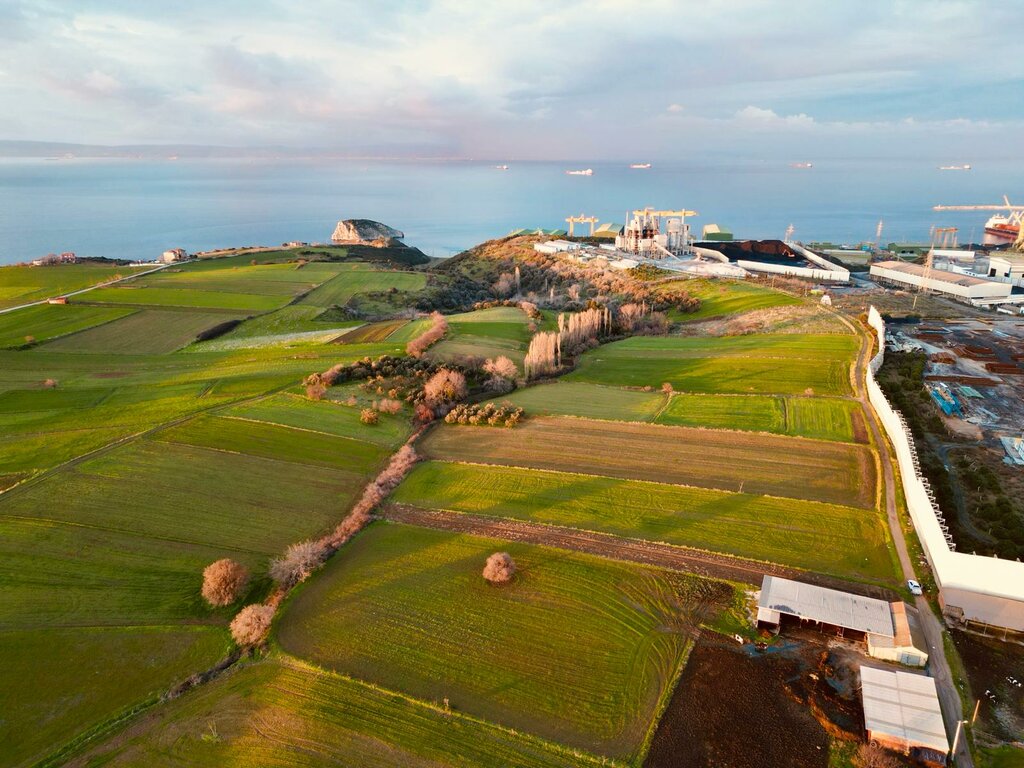 Emlak ofisi Altın Emlak, İstanbul, foto