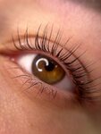 Valdbauer brows (Kirov street No:5В), kaş ve kirpik salonu  Çeliabinsk'ten