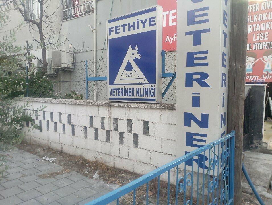 Veteriner klinikleri Fethiye Veteriner Kliniği, Fethiye, foto