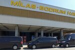 Palmiye Rent A Car (Muğla, Bodrum, Kumbahçe Mah., Atatürk Cad., 72A), oto kiralama  Bodrum'dan