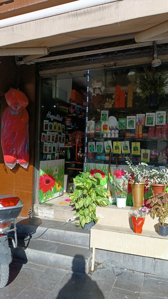 Çiçekçiler Emin Çiçekçilik, Gaziantep, foto