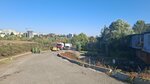 Станция озеленения (Tbilisi Municipality), seracılık  Tiflis'ten