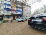 Ассоциация садоводов Башкортостана (Oktyabrya Avenue No:57), bahçecilik dernekleri ve kuruluşları  Sterlitamak'tan