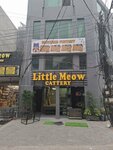 Little meow cattery (No:87, Model Town), catering firmaları  Lahor'dan