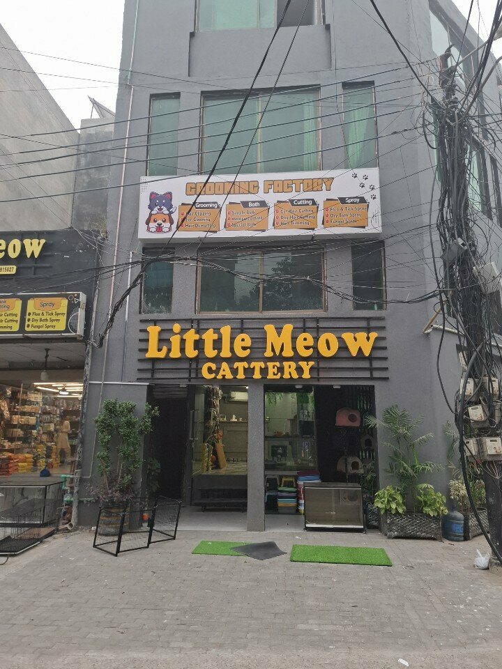 Catering firmaları Little meow cattery, Lahor, foto