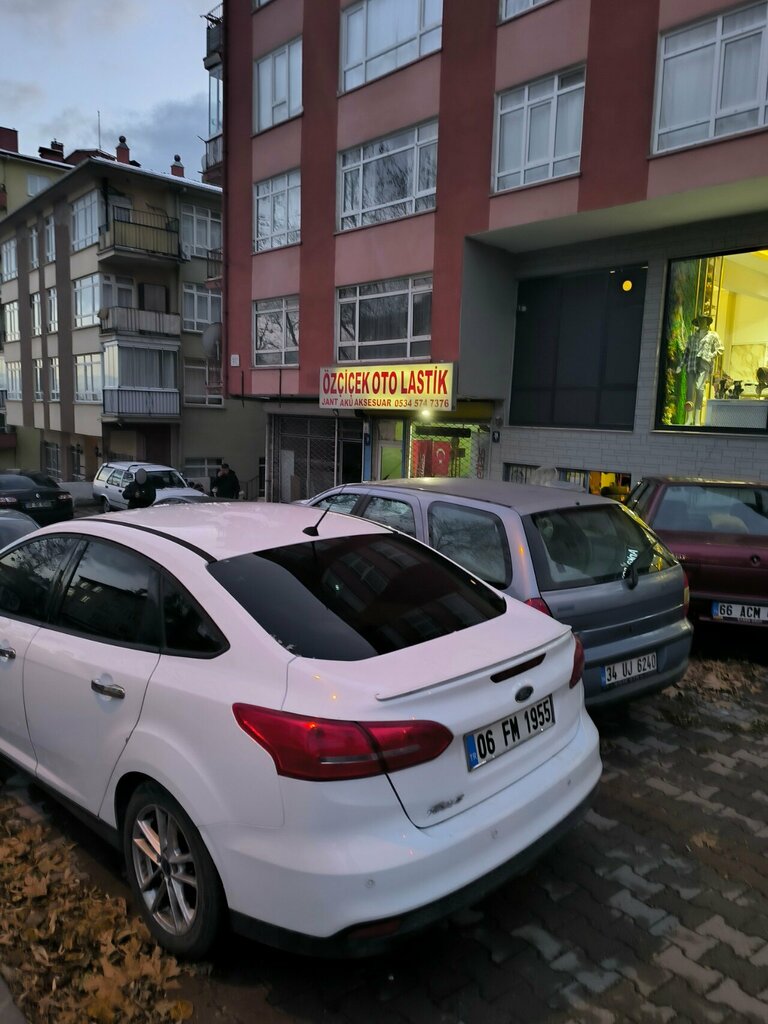 Oto lastik tamiri Öz Çiçek Oto Lastik & Jant Aksesuar, Ankara, foto