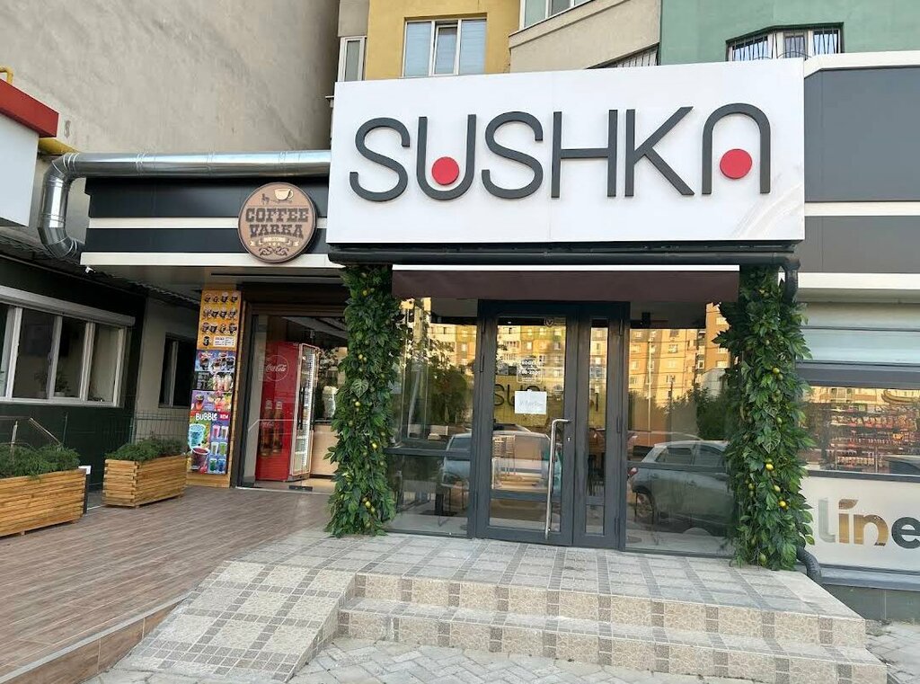 Hazır yemek teslim servisleri Sushka, Kişinev, foto