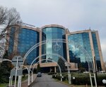 Herend (Jeltoqsan Street No:181), züccaciye mağazaları  Almatı'dan