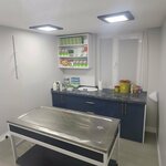 Olimpos Veteriner (Samsun, İlkadım, İstiklal Cad.), veteriner klinikleri  Samsun'dan