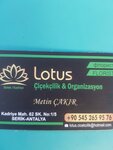 Lotus Florist (Antalya, Serik, Kadriye Mah., Alan Cad., 23D), çiçekçiler  Serik'ten