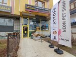 Neon Akvaryum (Ankara, Keçiören, Osmangazi Mah., 1206. Sok., 8), petshop  Ankara'dan