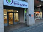 Vasa Pelagic (Kralja Aleksandra Boulevard No:183), eczaneler  Belgrad'dan