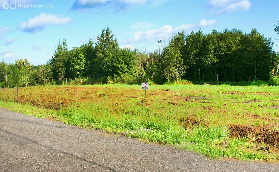 Yazlık yerleşim Северные террасы, Saint‑Petersburg ve Leningradskaya oblastı, foto