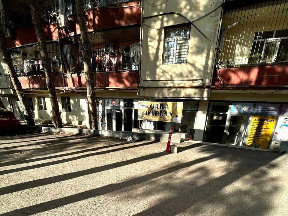 Spor kulüpleri Qara Qaplan, Bakü, foto
