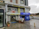 Star Group Gayrimenkul - Rüya Projeleri Satış Ofisi (Necip Fazıl Kısakürek Cad., No:21AK, Esenyurt, İstanbul), emlak ofisi  İstanbul'dan