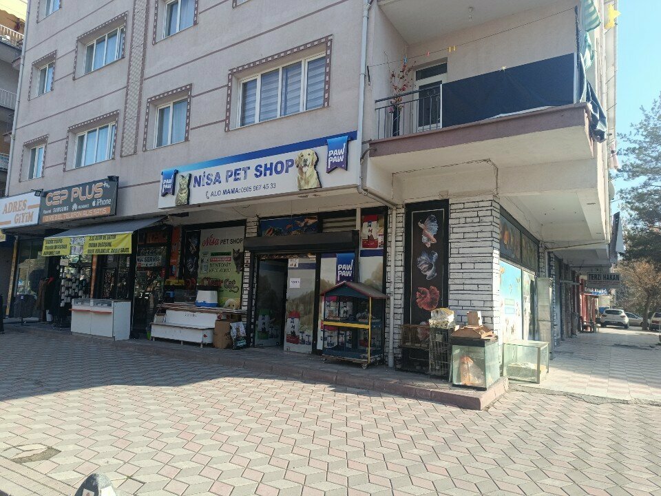 Akvaryumlar Nisa Pet Shop, Ankara, foto