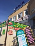 Magazin Zoolend (ulitsa Griboyedova No:8А), petshop  Surgut'tan