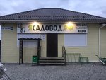 Yasadovod. Rf (Svetlaya ulitsa No:43, selo Kosulino), sera ve bahçe ürünleri  Sverdlovskaya oblastından