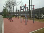 Sports ground (Moscow, Luzhnetskaya Embankment), spor alanı  Moskova'dan