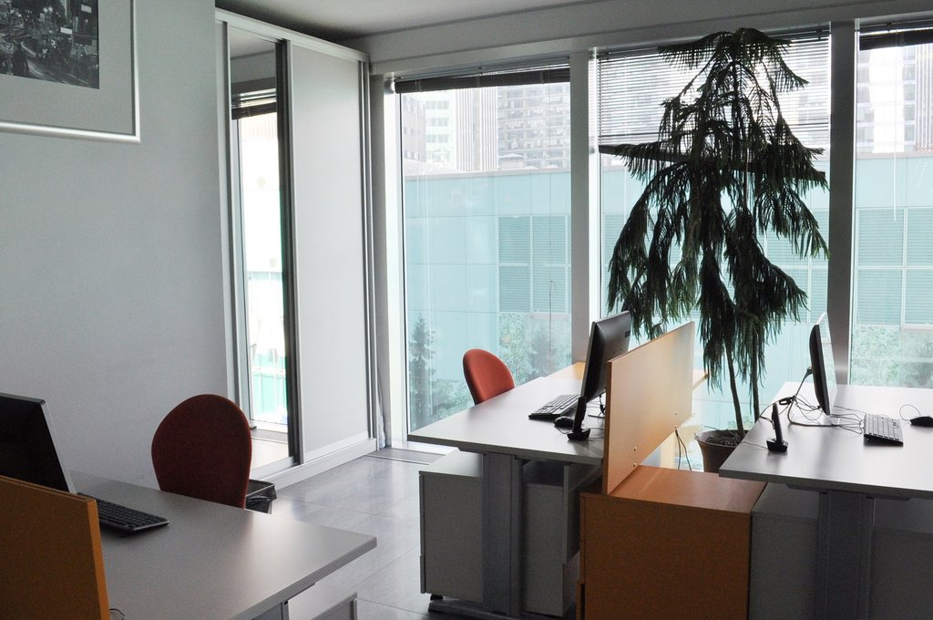 Aracı şirketler Global Capital, Moskova, foto