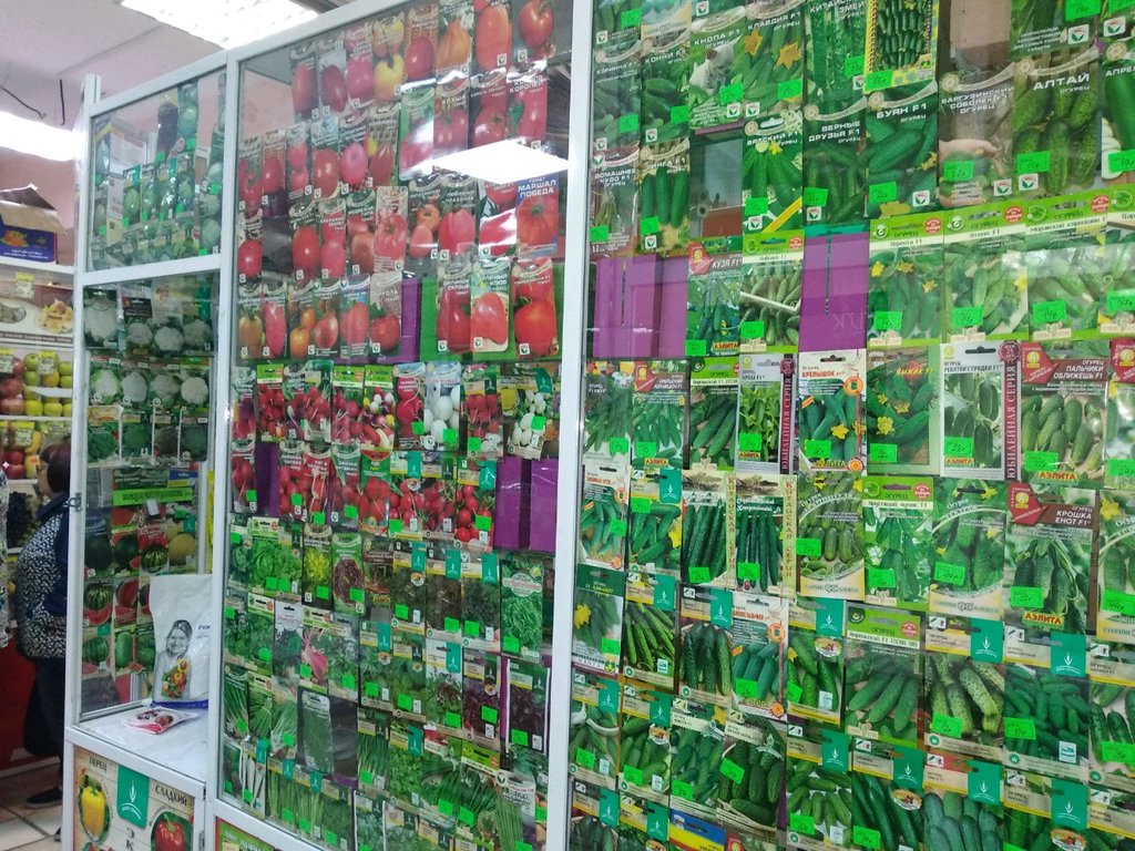 Tohum satan yerler Магазин семян, Omsk, foto