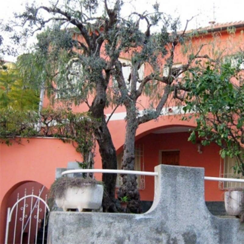Mobilya mağazaları Giglio Rodolfo Imbiancature, , foto