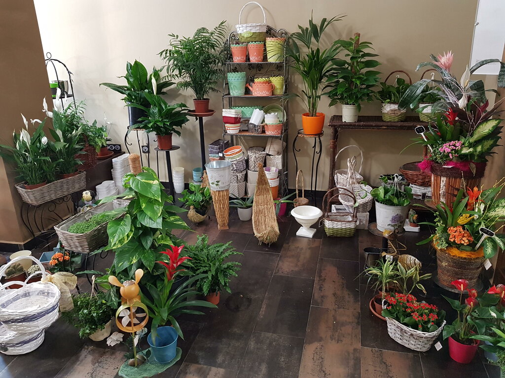 Çiçek teslimatı Floristería Ángela, Córdoba, foto