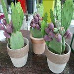 Fiorista Piccinini (Emilia-Romagna, Ravenna, Via Faentina, 48), çiçek teslimatı  Ravenna'dan