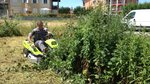 Cartes (Via Aspromonte No:36, Alessandria), kaplama hizmetleri  Alessandria'dan