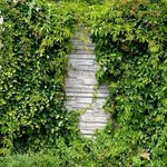 Birke - Gartenpflege & Hausmeisterservice (Bavaria, Kronach, Kulmbacher Straße, 4), peyzaj tasarımı  Bavyera'dan