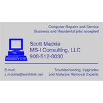 Ms-i Consulting (United States, Union, 477  Chesnut Street), bilgisayar teknik servisleri  New Jersey Eyaleti'nden