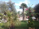 Terraverde Vivai (Apulia, Bari, Strada Provinciale Valenzano Capurso), sera ve bahçe ürünleri  Puglia'dan