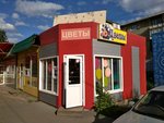 Tsvety (Akademika Pavlova Street No:55Г/1), çiçekçiler  Krasnoyarsk'tan