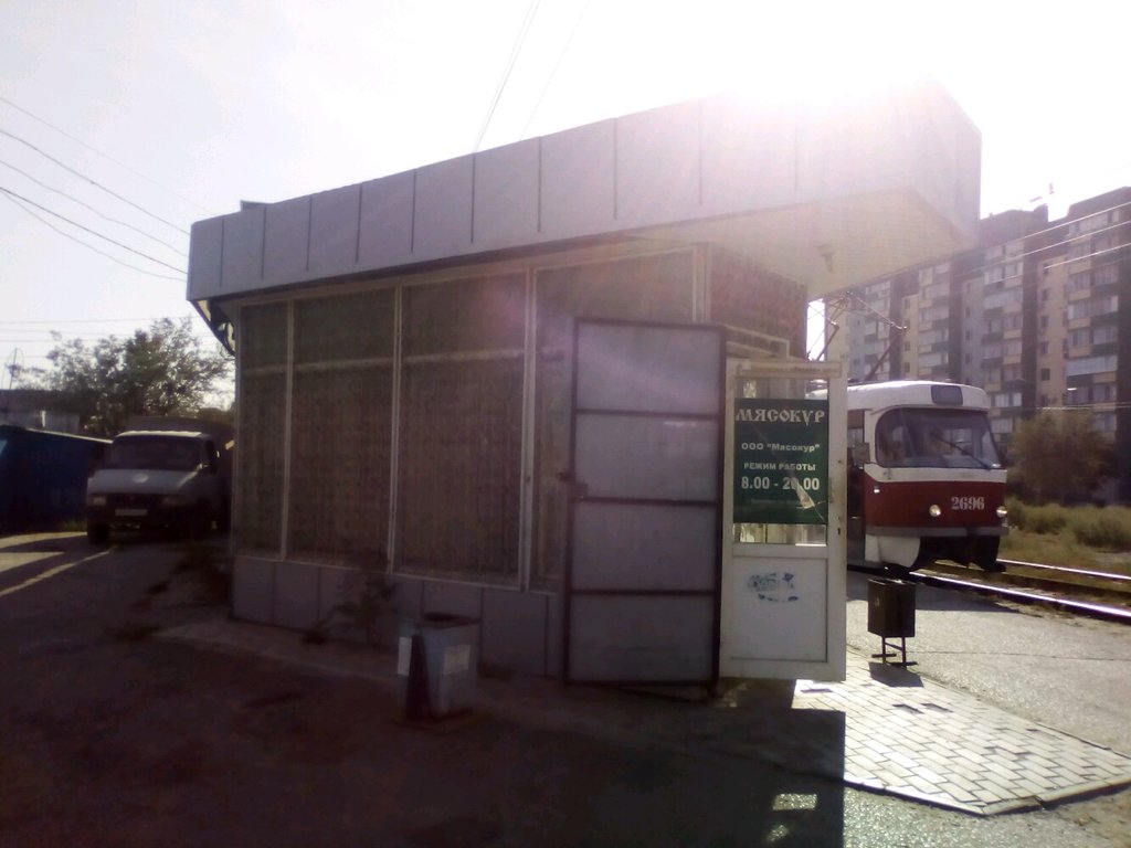 Kanatlı hayvan ürünleri ve yumurta Мясокур, Volgograd, foto