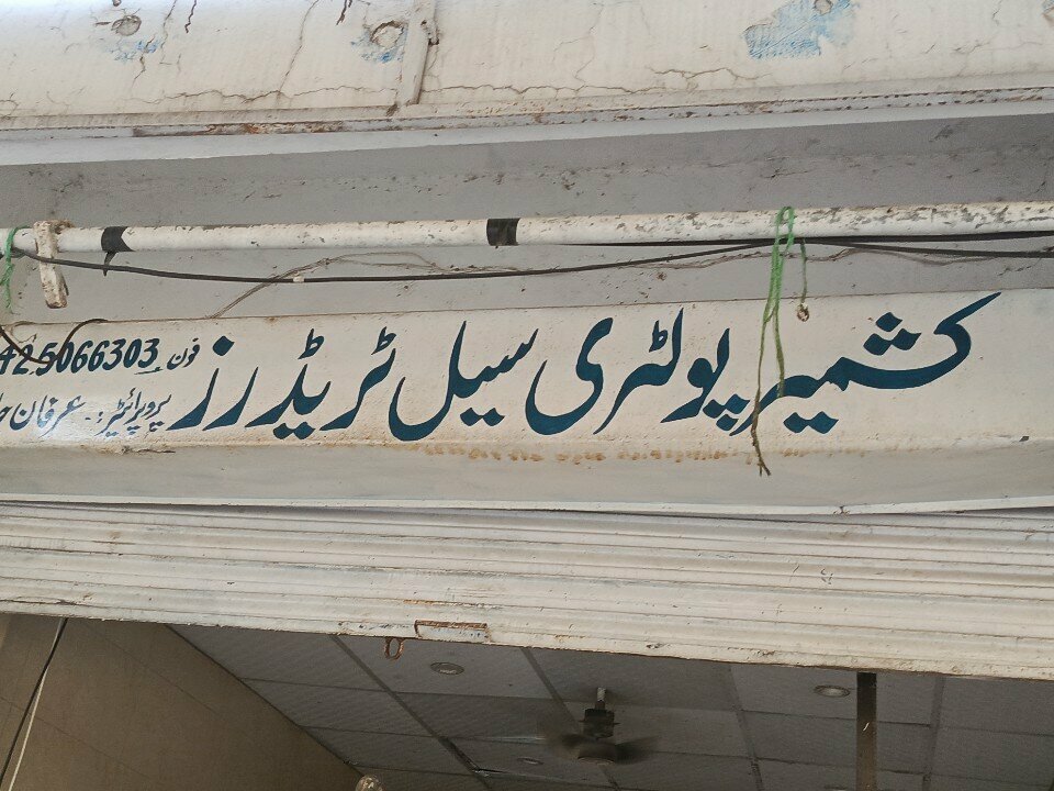 Kanatlı hayvan ürünleri ve yumurta Kashmir Poltiry Sale Traders, Islamabad, foto