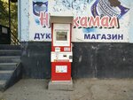 Qiwi (Iýnos kóshesi No:61), ödeme terminali  Semey'den