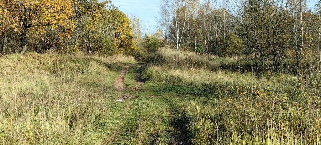 Turistik yerler Одиночный курган, Smolenskaya oblastı, foto