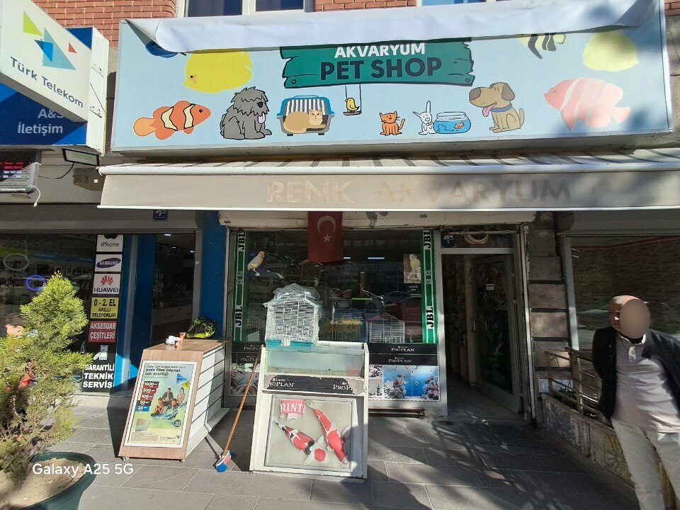 Akvaryumlar Renk Akvaryum, Ankara, foto