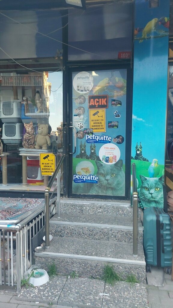 Petshop Destan Akvaryum Pet Market, Bursa, foto
