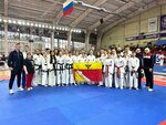 Федерация тхэквондо МФТ (Mashinostroiteley street No:82), spor kulüpleri  Voronej'den