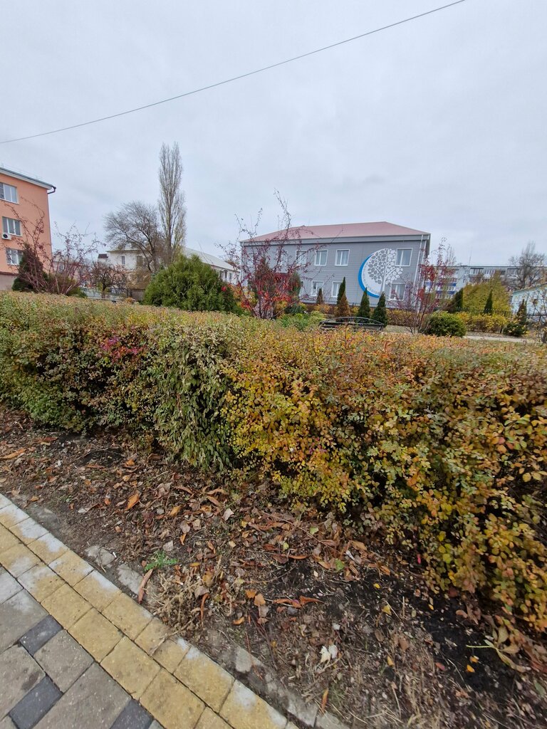 Şehir planlama Благоустройство, Novovoronej, foto