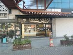 Shark Awsat Gold (Yeşilkent Mah., Nazım Hikmet Blv., No:17, Esenyurt, İstanbul), kuyumcular  İstanbul'dan