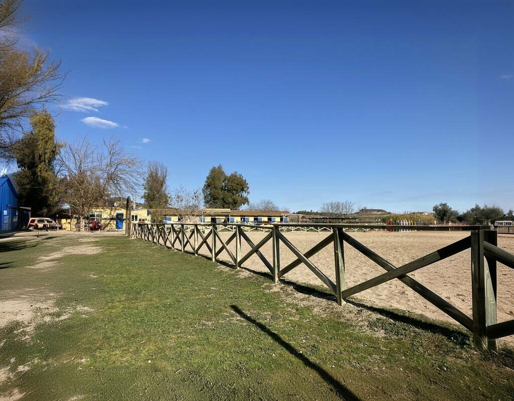 At ve binicilik kulüpleri Meyrem Ana Binicilik, Adana, foto