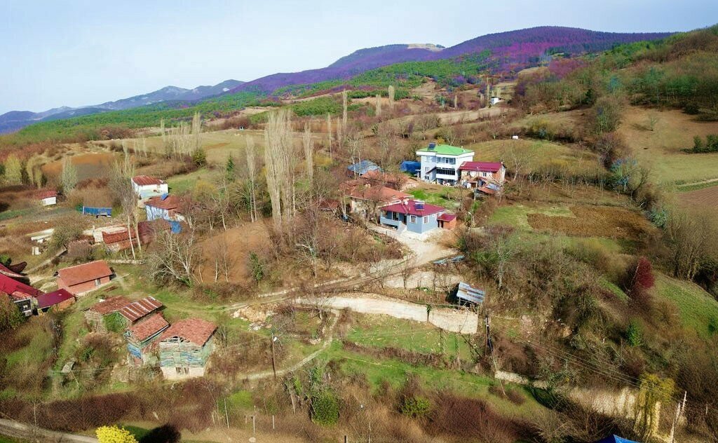 Muhtarlıklar Yaylalı Köy Muhtarlığı, Erbaa, foto