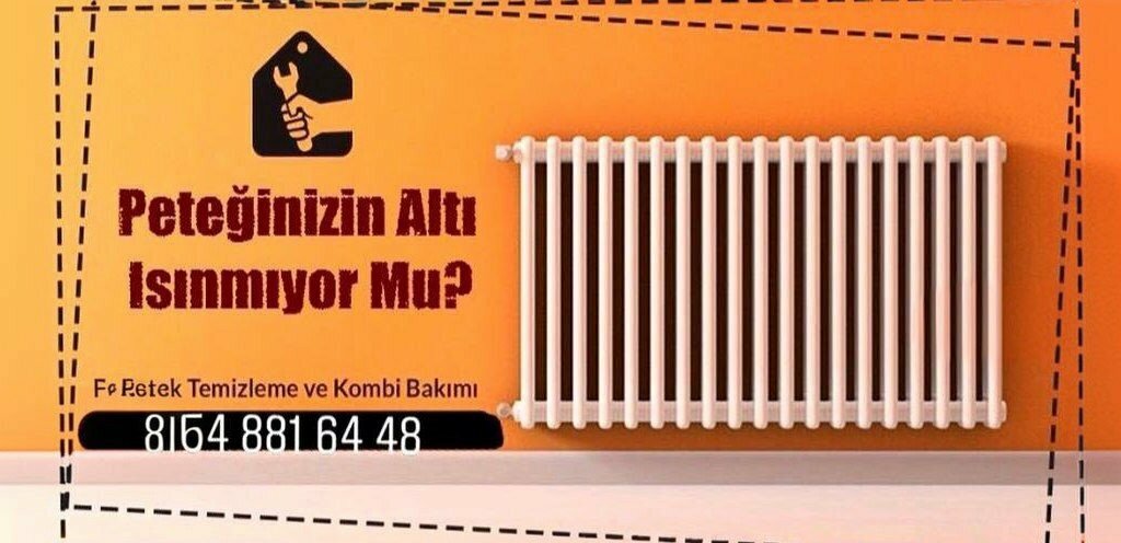 Uzman hizmetleri Eskişehir Petek Temizleme Ve Kombi Bakım Servisi, Eskişehir, foto