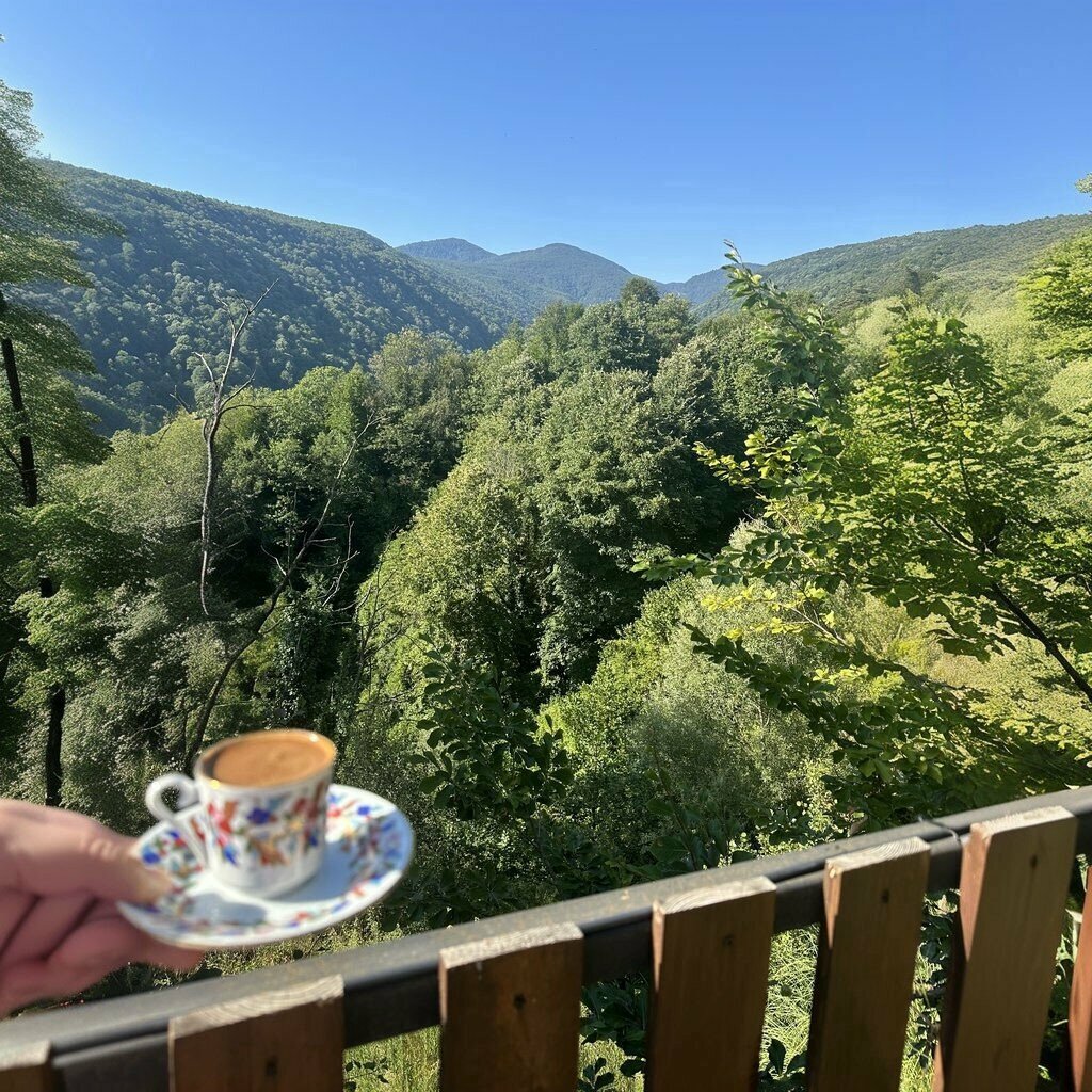 Otel Kestane Dağ Evleri, Sapanca, foto