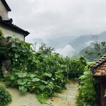 Kondu Mahallesi Muhtarlığı (Kondu Mahallesi 61950 Dernekpazarı Trabzon), muhtarlıklar  Dernekpazarı'dan